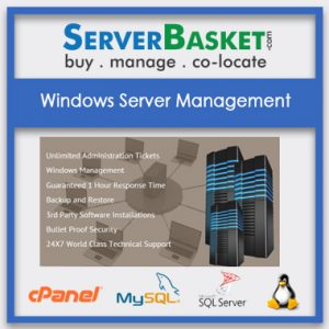 Windows Server Management with 24/7 Support | ServerBasket