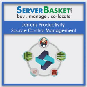 Best Jenkins Productivity Source Control Management Services In India