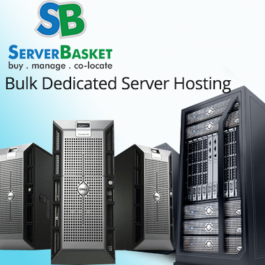 Bulk Dedicated Server Hosting With 24/7 Support In North India