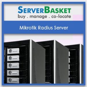 MikroTik Radius Server Rent Online in India At Low Cost
