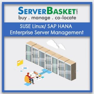 SUSE Linux Server Support / SAP HANA Enterprise Server Installation ...