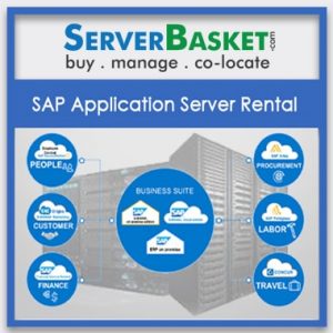 SAP Application Server Rental | Certified SAP Servers on Rent | SAP Hosting
