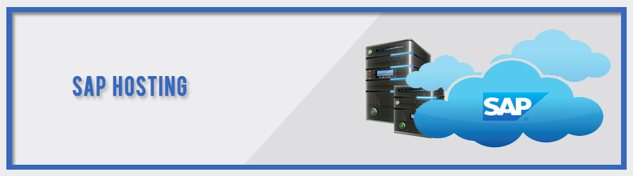 Sap Hosting India | Sap Certified Server Hosting Services | India, USA, UK