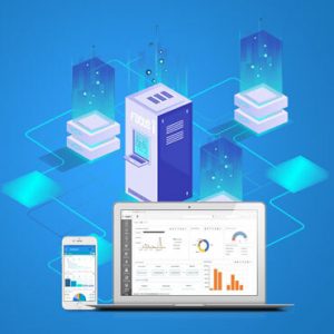 VPS FOCUS Accounting Software Secure Server with 100% Uptime Serverbasket